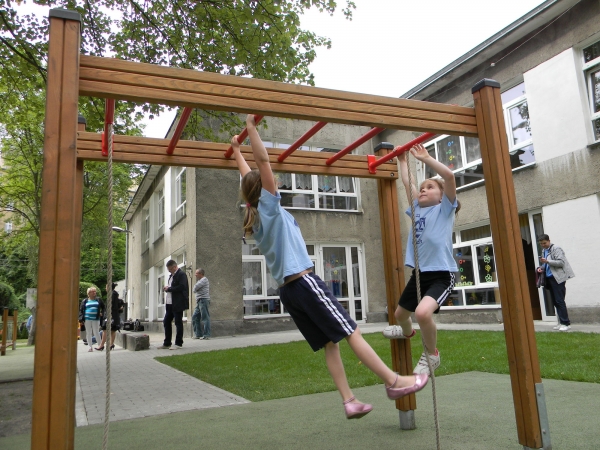 Horizontal Ladder wooden ladder, Climbing, Playground equipment | LARS ...